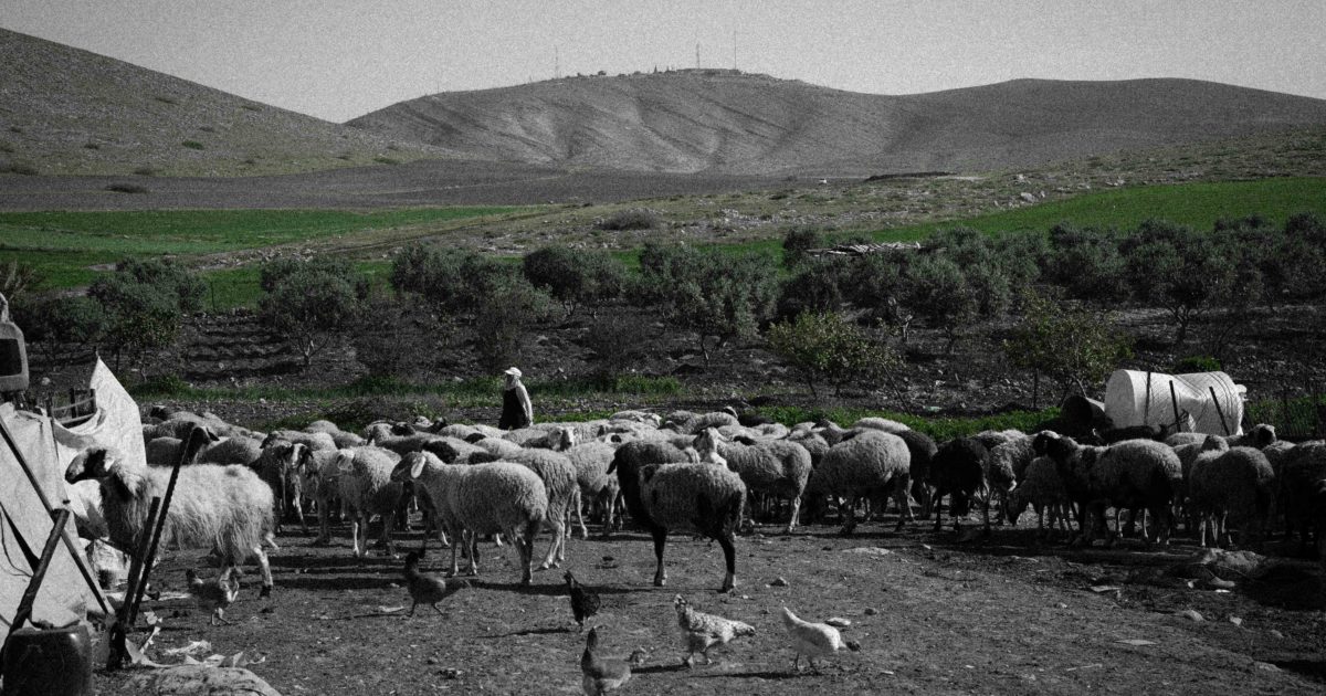 Norsk Folkehjelp | En appell fra Vestbredden i Palestina